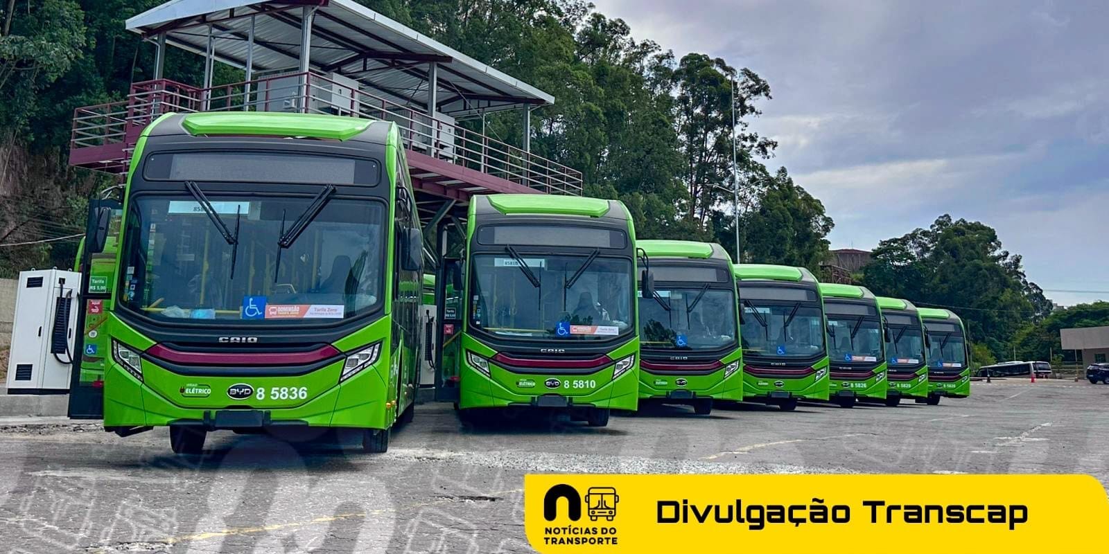 Auto Viação Transcap anuncia aquisição de 47 ônibus 100% elétricos e ...